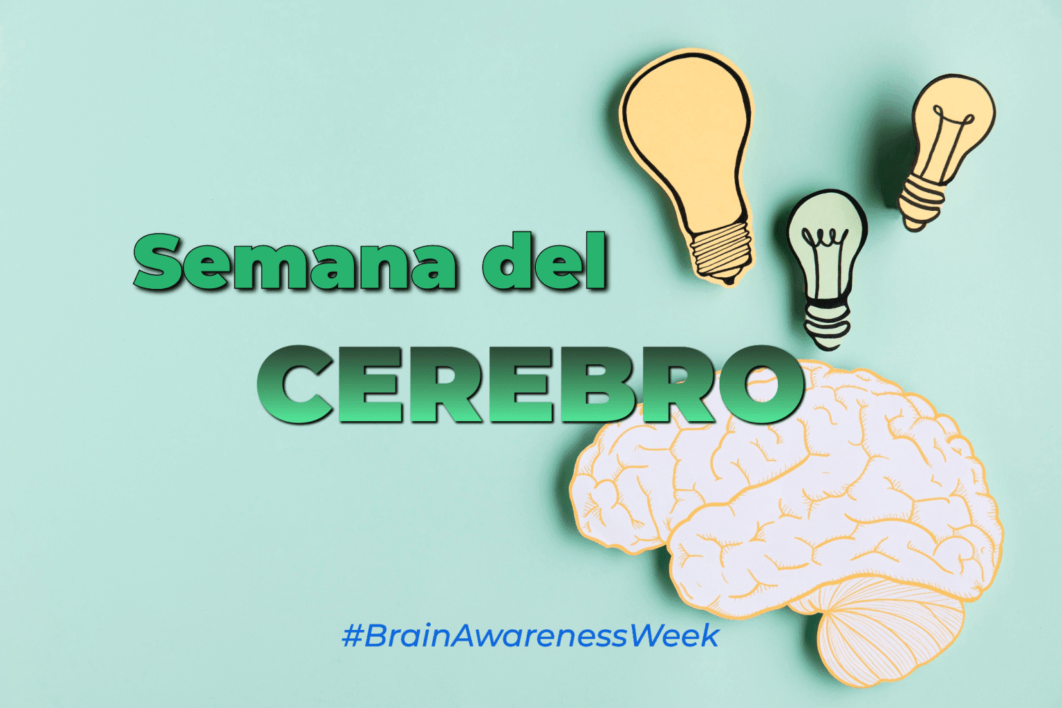 Aprender sobre el cerebro en las aulas de primaria - PERIÓDICO EDUCACIÓN